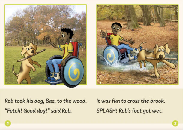 Dandelion Readers Vowel Spellings Level 1 | Decodable Books