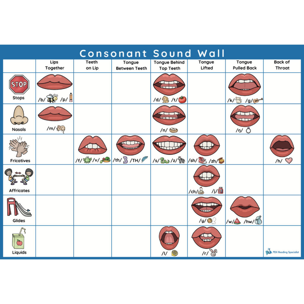 Consonant Sound Wall Poster (Illustrated Lips) - PDX Reading Specialist ...