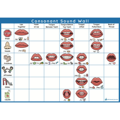 Consonant Sound Wall Poster (Illustrated Lips) - PDX Reading Specialist