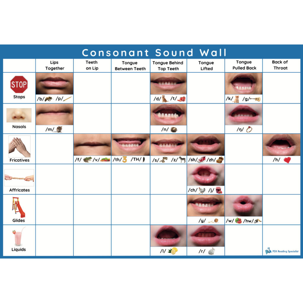 Consonant Sound Wall Poster - PDX Reading Specialist, LLC.